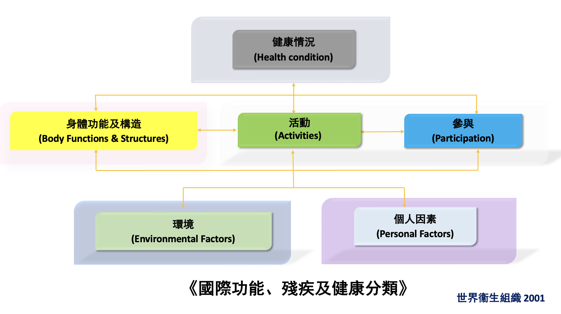 International Classification of Functioning, Disability and Health ...